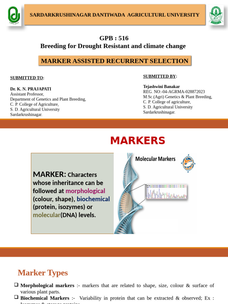 Tejashwini - GPB 516 | PDF | Plant Breeding | Genetic Marker
