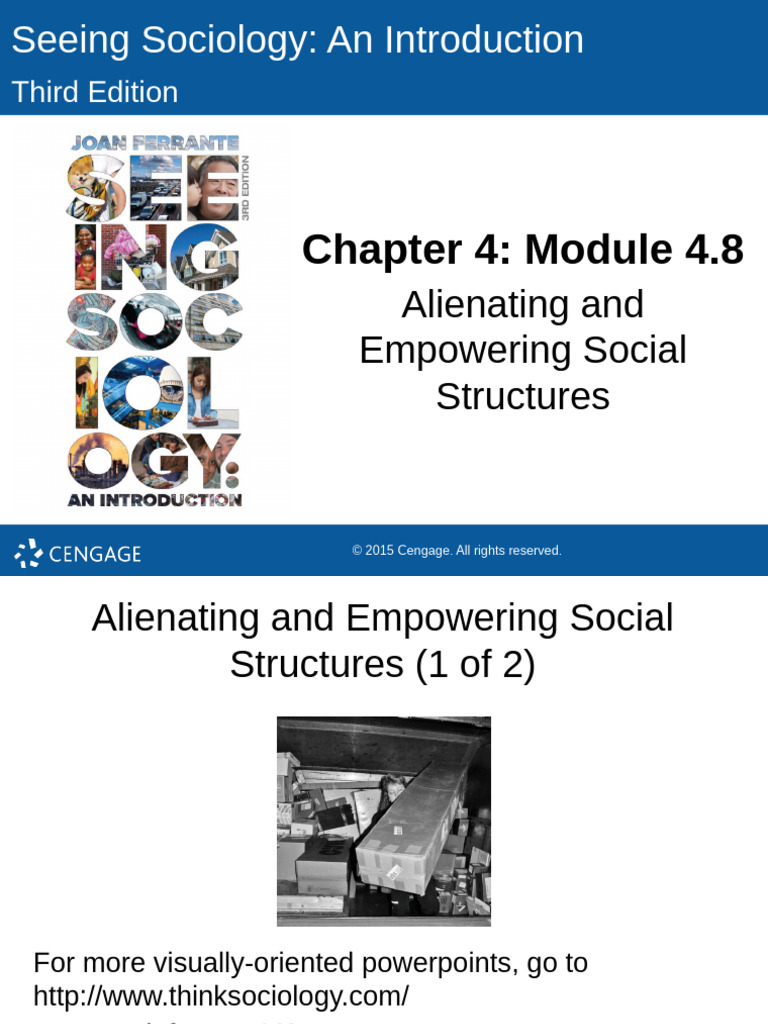 Ferrante 3e Powerpoint Mod4.8 | PDF | Social Alienation | Business