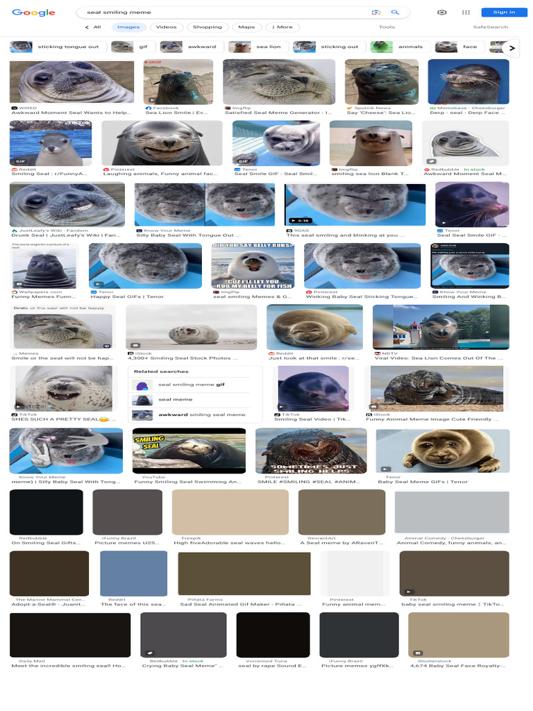 Seal Smiling Meme - Google Search | PDF | World Wide Web | Internet & Web