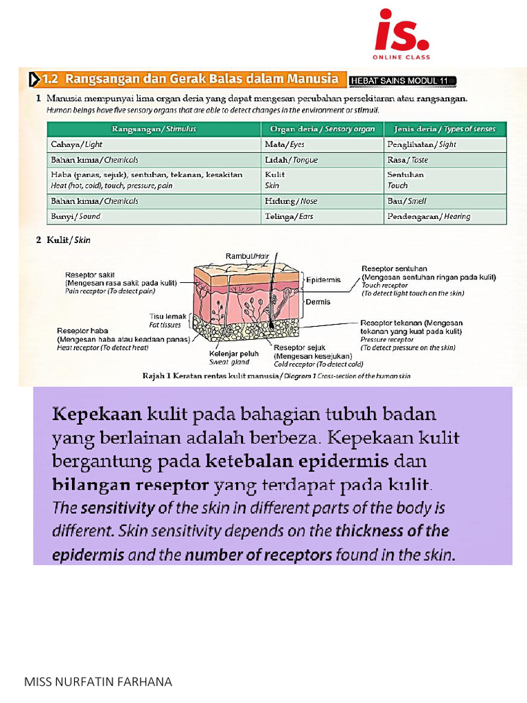 12.02.2025 F3 Sains Kulit Hidung Lidah Cikgu Fatin Farhana | PDF