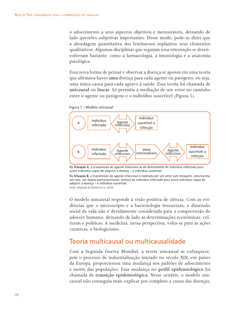 Teoria Multicausal Ou Multicausalidade | PDF | Epidemiologia | Promoção ...
