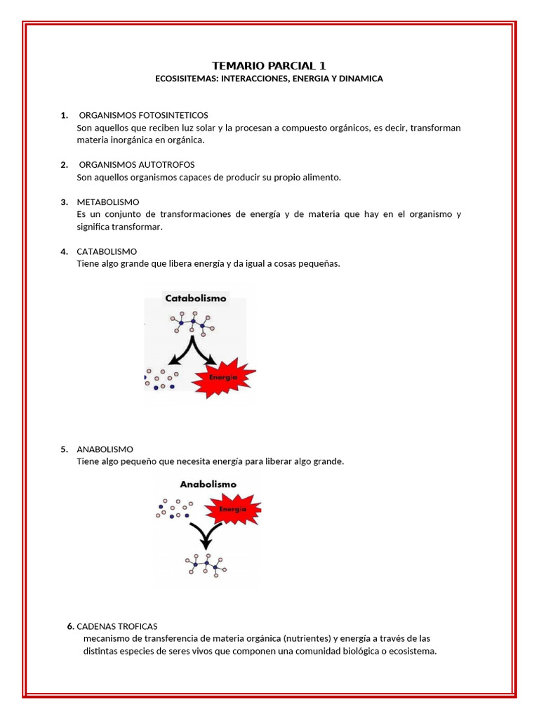 Temario Parcial 1 SARA | PDF