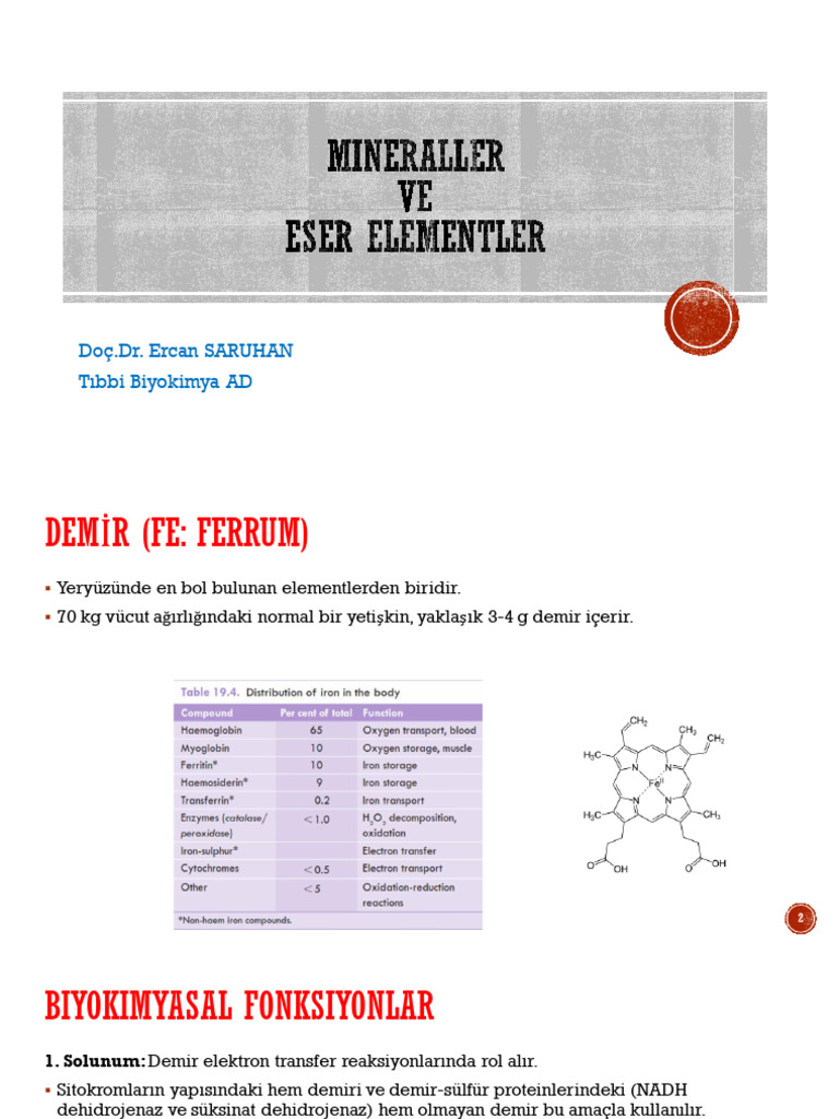 Mineraller Ve Eser Elementler-2 | PDF