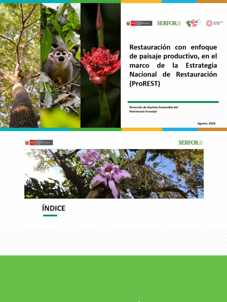 Restauración en El Marco Del ProREST | PDF | Deforestación | Fauna