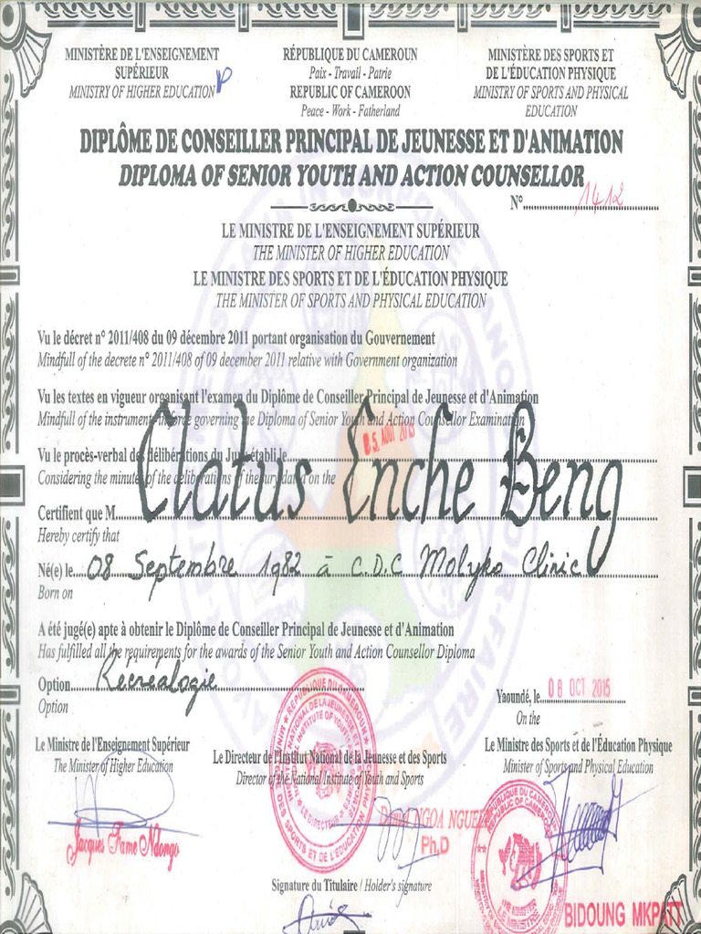 Clet Cpja Diplome | PDF