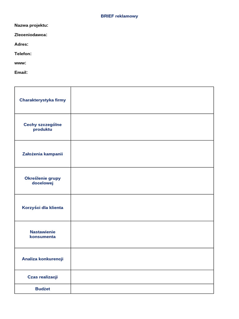 Brief Reklamowy | PDF