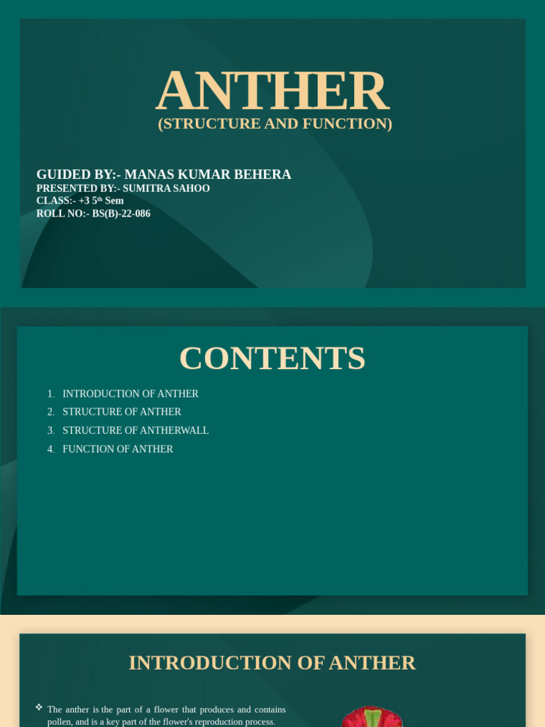 Anther | PDF | Flowers | Branches Of Botany