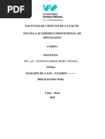 Manual de Usuario eSIFAP Hidalgo | PDF | Contraseña | Internet