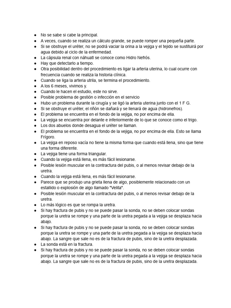 1 - 4 - 2025 Anato II Prefiltro | PDF | Sistema reproductivo | Próstata