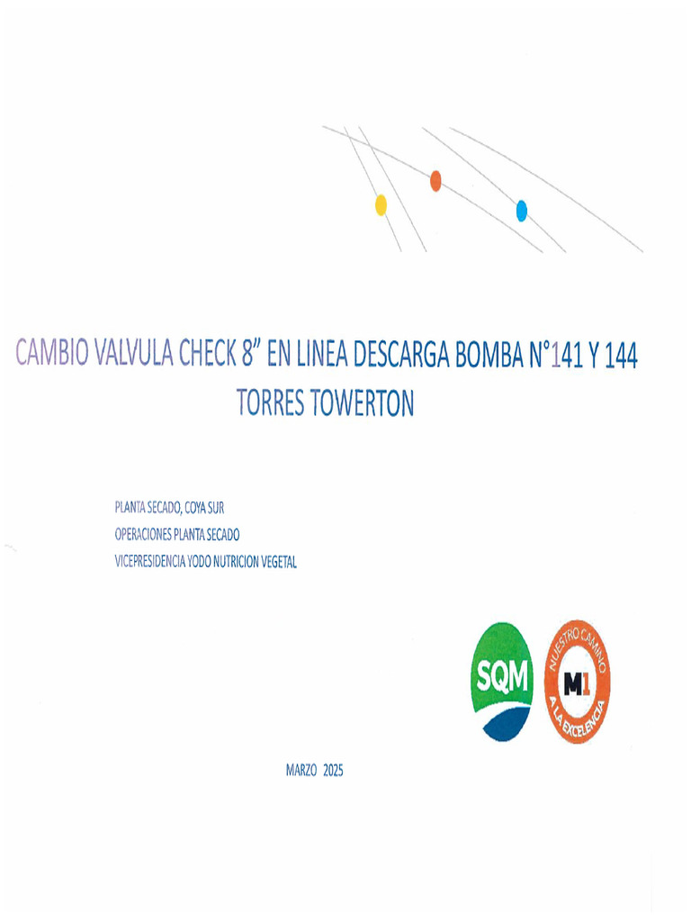 SOP Cambio VV Check 8 Pulg Bba 141 y 144 Torres Towerton | PDF