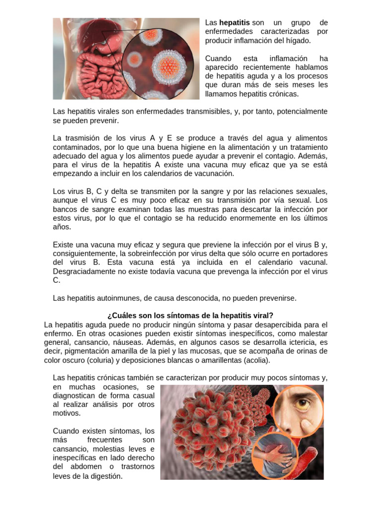 HEPATITIS | PDF | Hepatitis | Virus