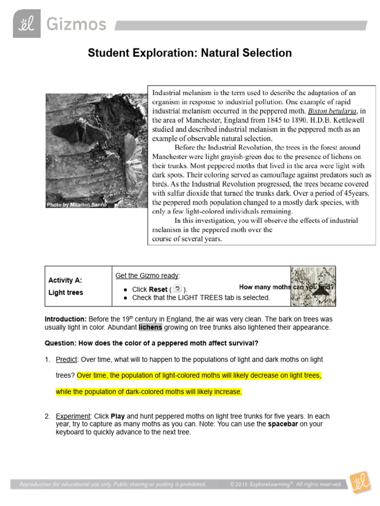 2.05 Gizmo NaturalSelection (2).docx | PDF | Natural Selection | Evolution