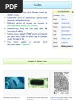 Rabies Safety for Site Workers | PDF | Rabies | Health Care