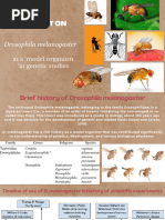Drosophila Eye Color Genetics | PDF | Dominance (Genetics) | Genetics