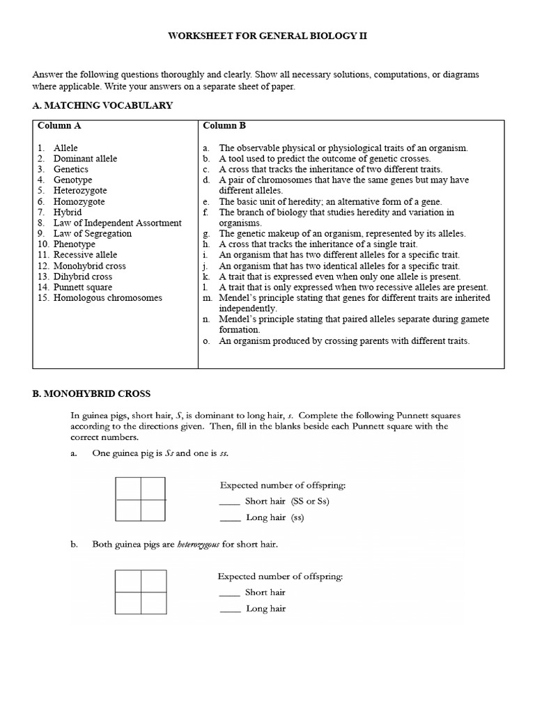 Sex-Linked Traits Worksheet | PDF | Dominance (Genetics) | Genotype