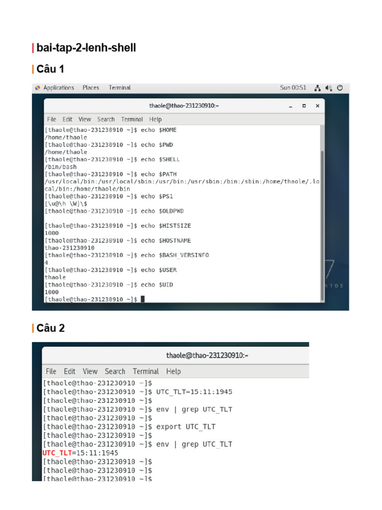bai-tap-2-lenh-shell | PDF