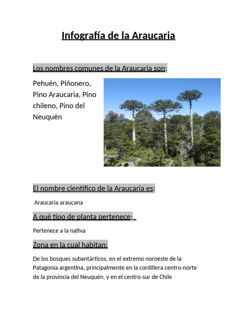 Vicente Riveros | PDF