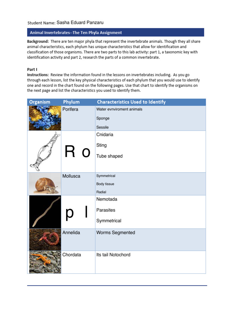 Invertebrate Phyla Characteristics Chart | PDF | Invertebrate | Zoology