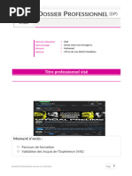 Dossier Professionnel Version Finale A Remplire | PDF