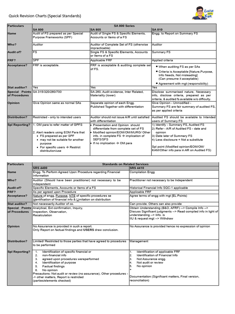 Overview of Special Standards Audits | PDF | Audit