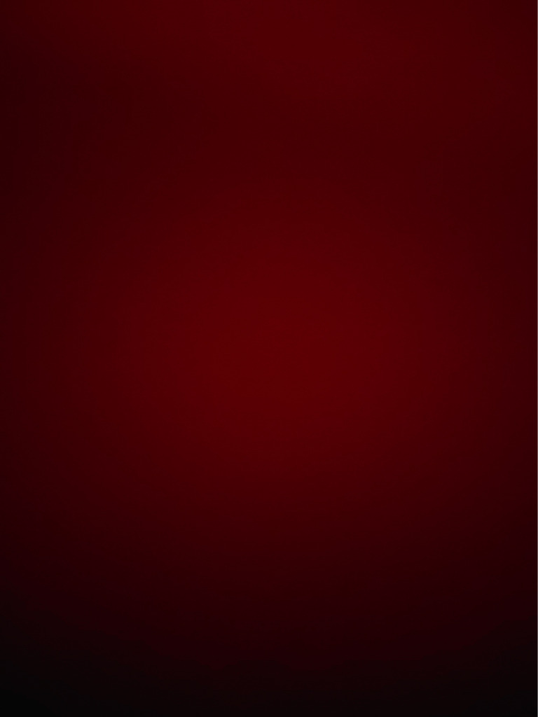 Gallery 20250404 225423 | PDF