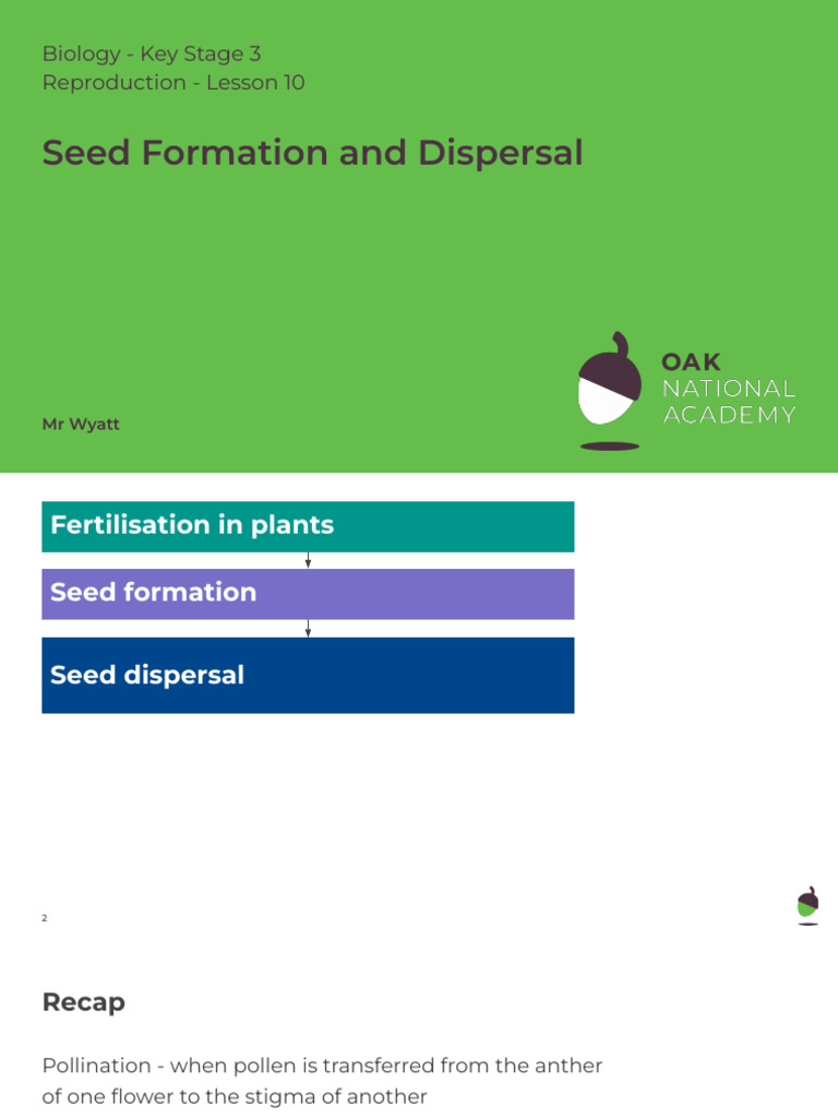 Fertilisation - seed formation and dispersal | PDF | Fertilisation | Flowers
