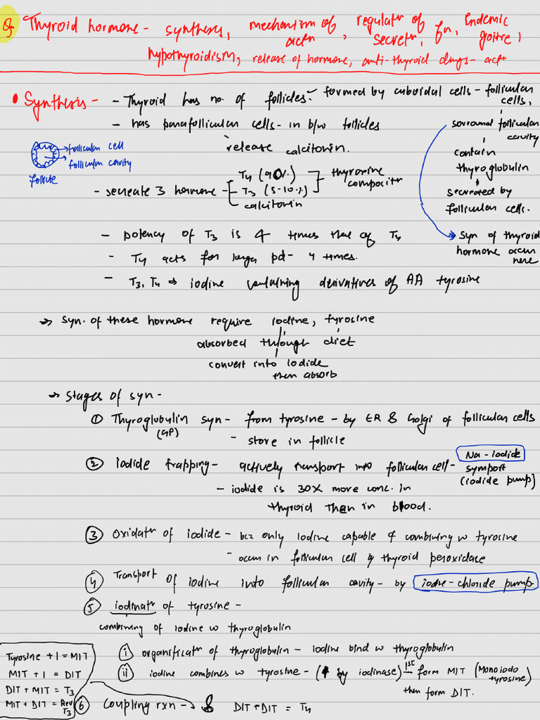 Physio Endocrine 240903 213744 Pdf