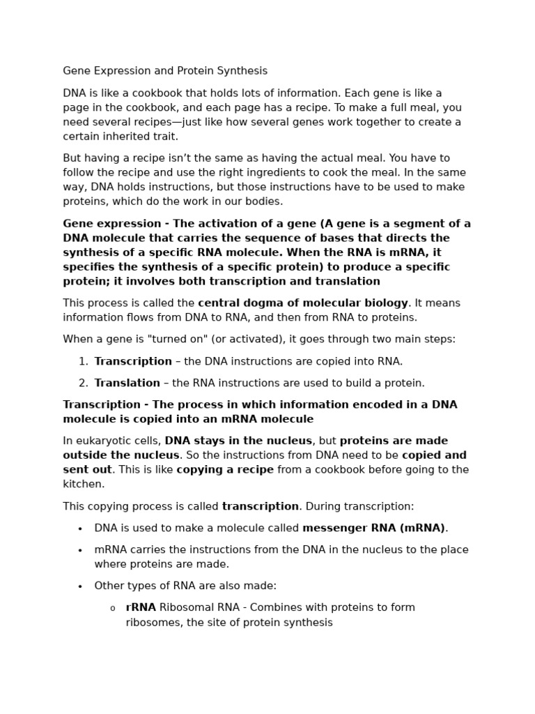 Gene Expression and Protein Synthesis | PDF | Adenosine Triphosphate | Rna