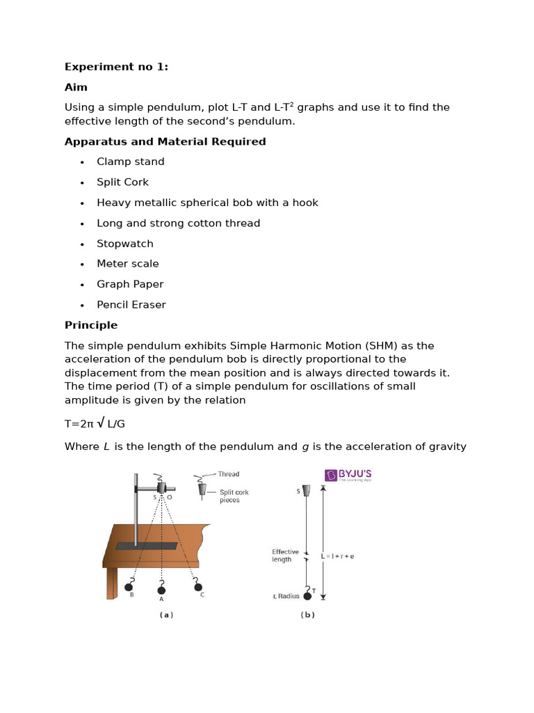 Practical activity_seconds pendulum_class 11 | PDF