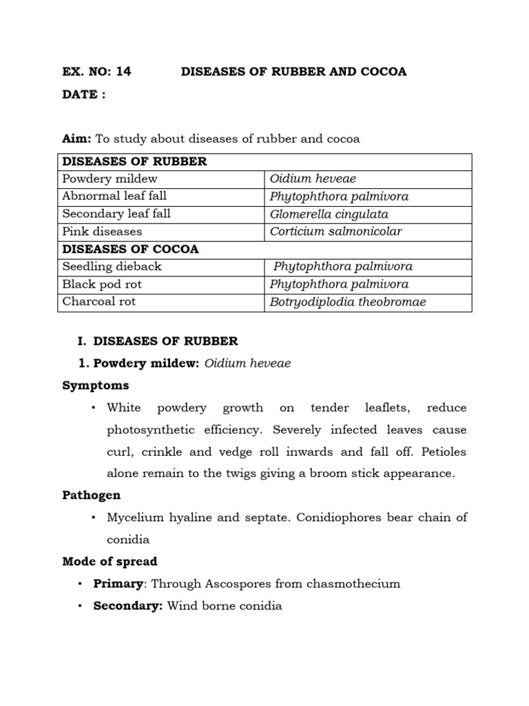 Rubber and Cocoa Disease Overview | PDF | Plants | Organisms