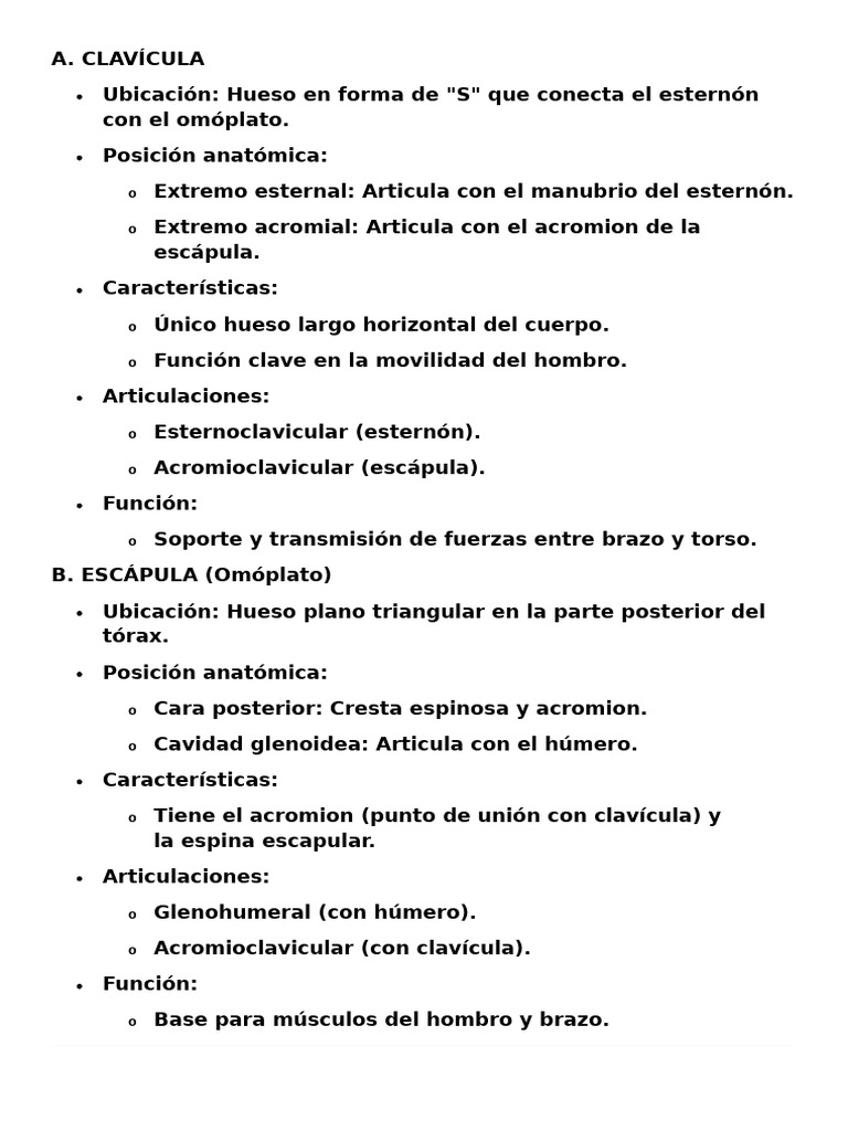 Huesos Final | PDF | Mano | Hombro