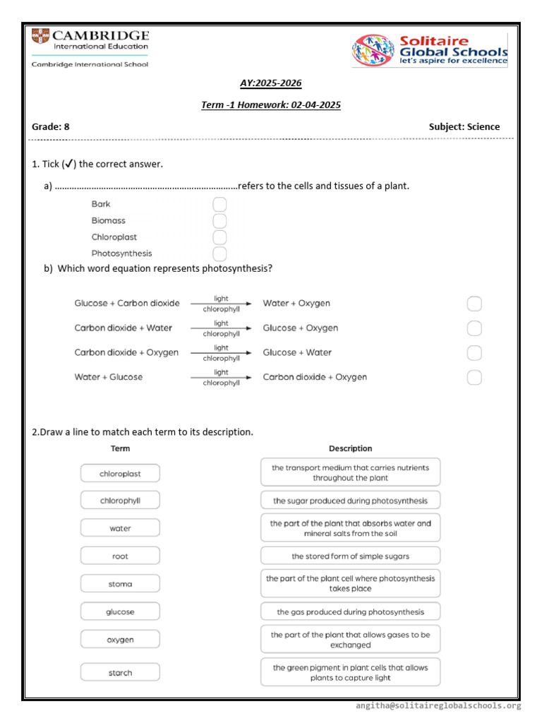 Science Assignment 2 4 | PDF