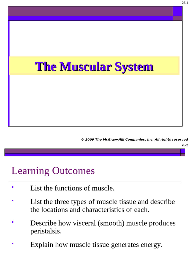 Prime Mover of Inspiration Explained | PDF | Human Leg | Anatomical ...