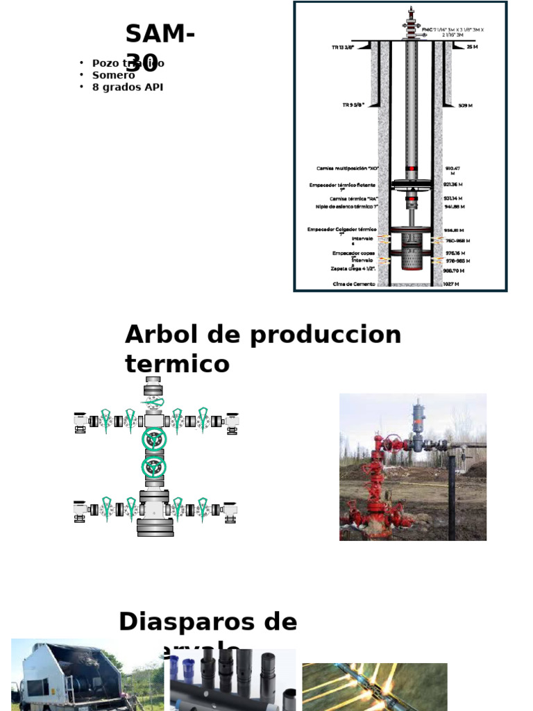 Producción en Pozo Triásico: Estrategias y Equipos | PDF