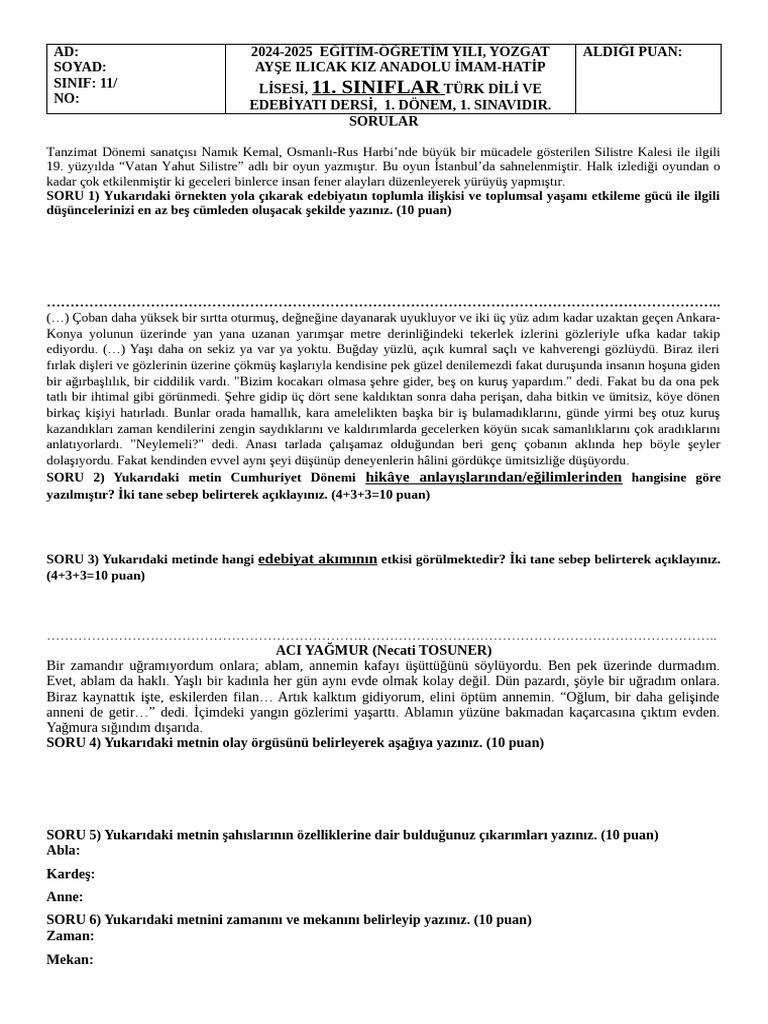 2024-2025 TDE 11 1.D. 1. Sınav | PDF