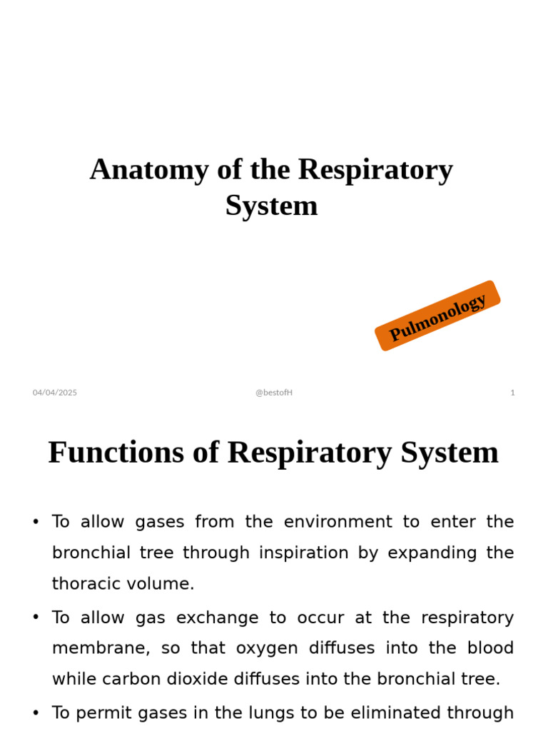 Lecture-9 Respiratory System | PDF | Respiratory Tract | Lung