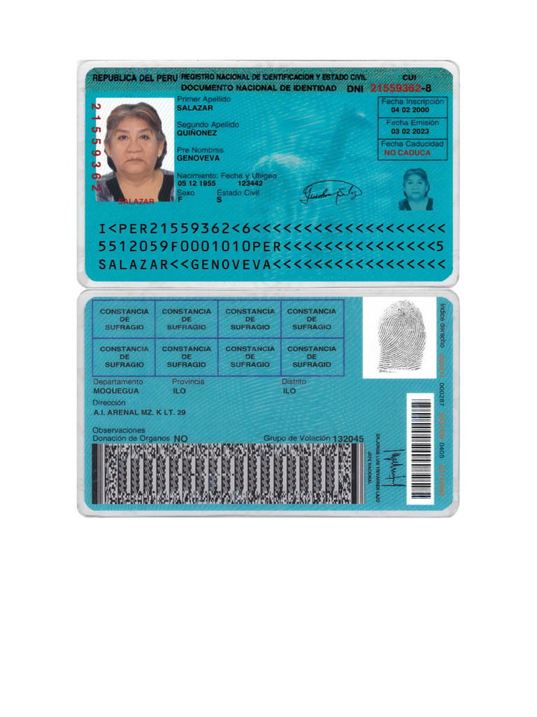 Dni Madre de Titular | PDF