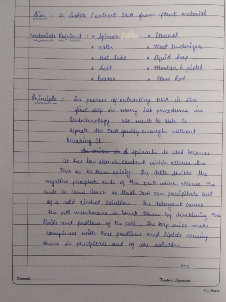 DNA Extraction Exp. | PDF