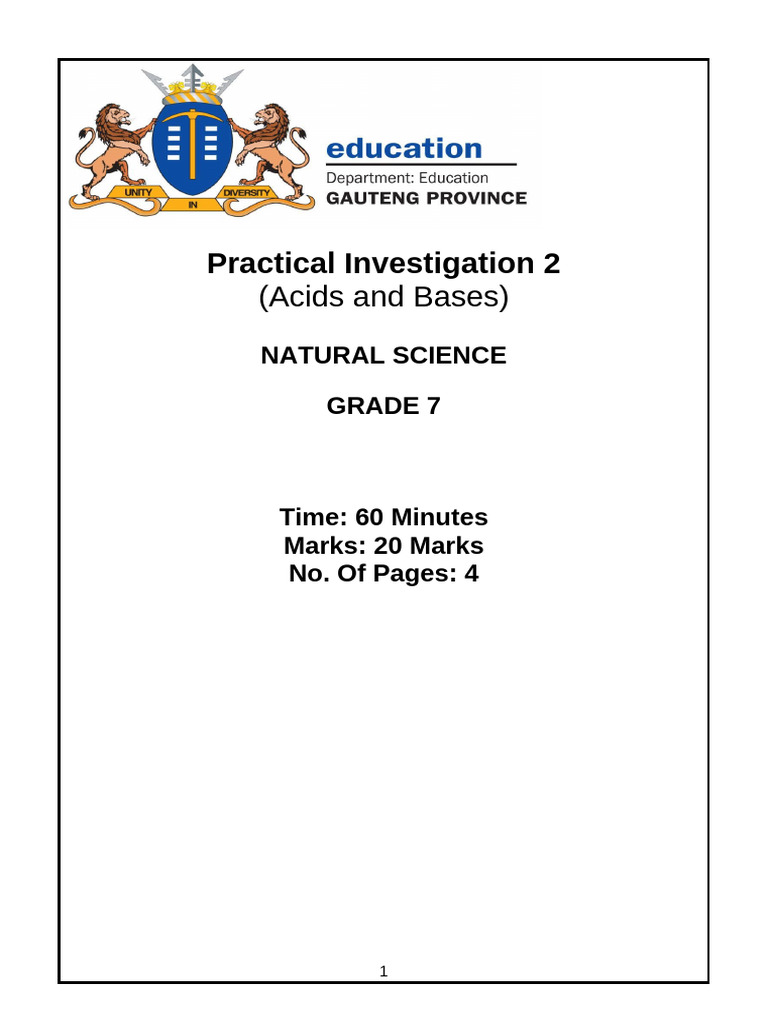 GR 7 Ns Practical Task Term 2 | PDF | Sodium Bicarbonate | Acid