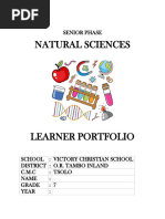 Gr9 Technology Term 3 Notes | PDF | Diode | Series And Parallel Circuits