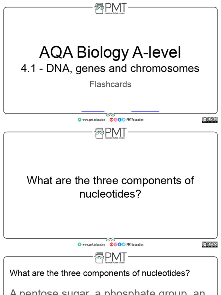 Flashcards - Topic 4.1 DNA, Genes and Chromosomes - AQA Biology A-Level ...