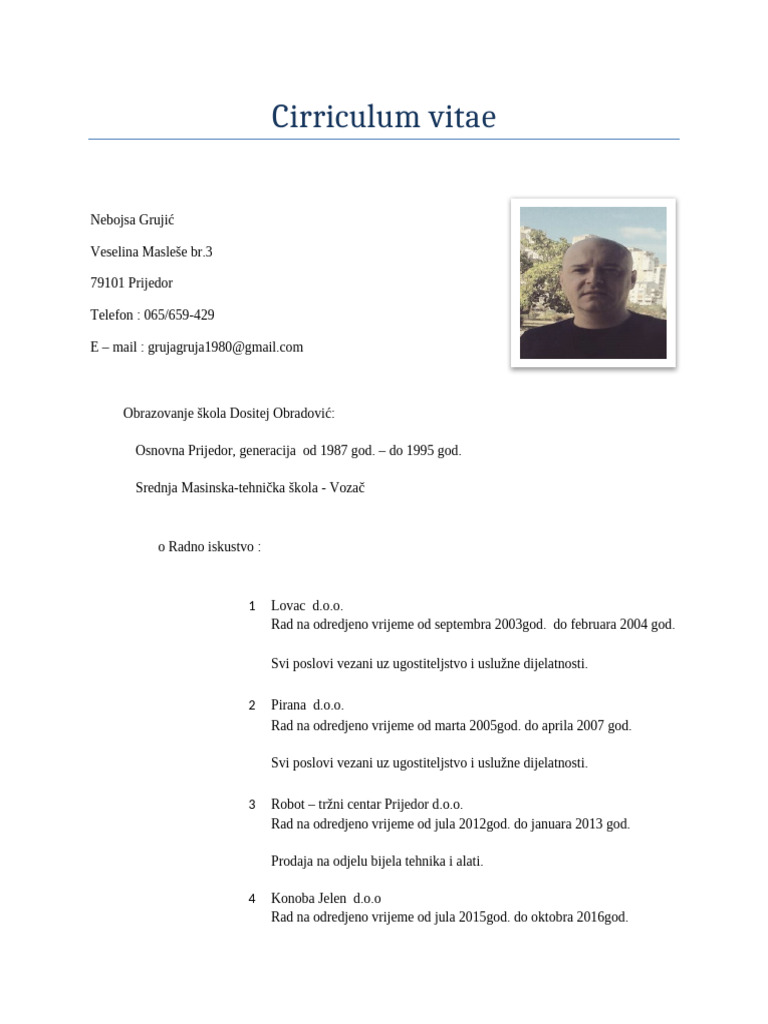 Cirriculum Vitae Gruja | PDF