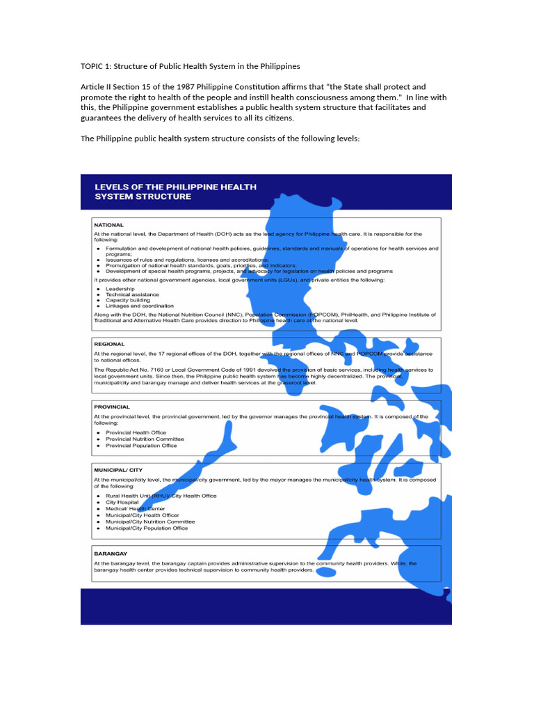LESSON 1_ Public Health System in the Philippines | PDF