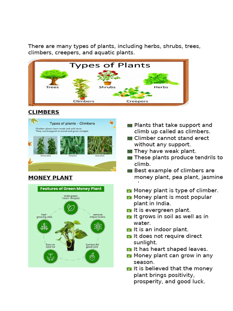 Science Project | PDF
