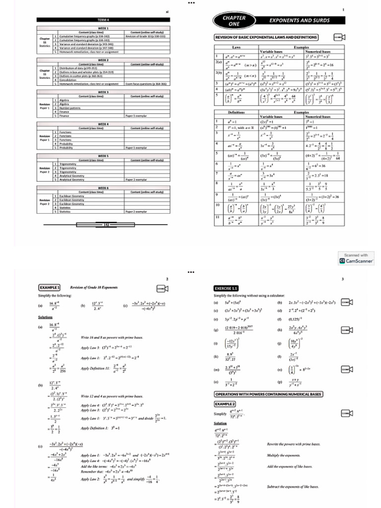 Exponents and Surds | PDF