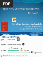 FICHA TÉCNICA Test Raven | PDF