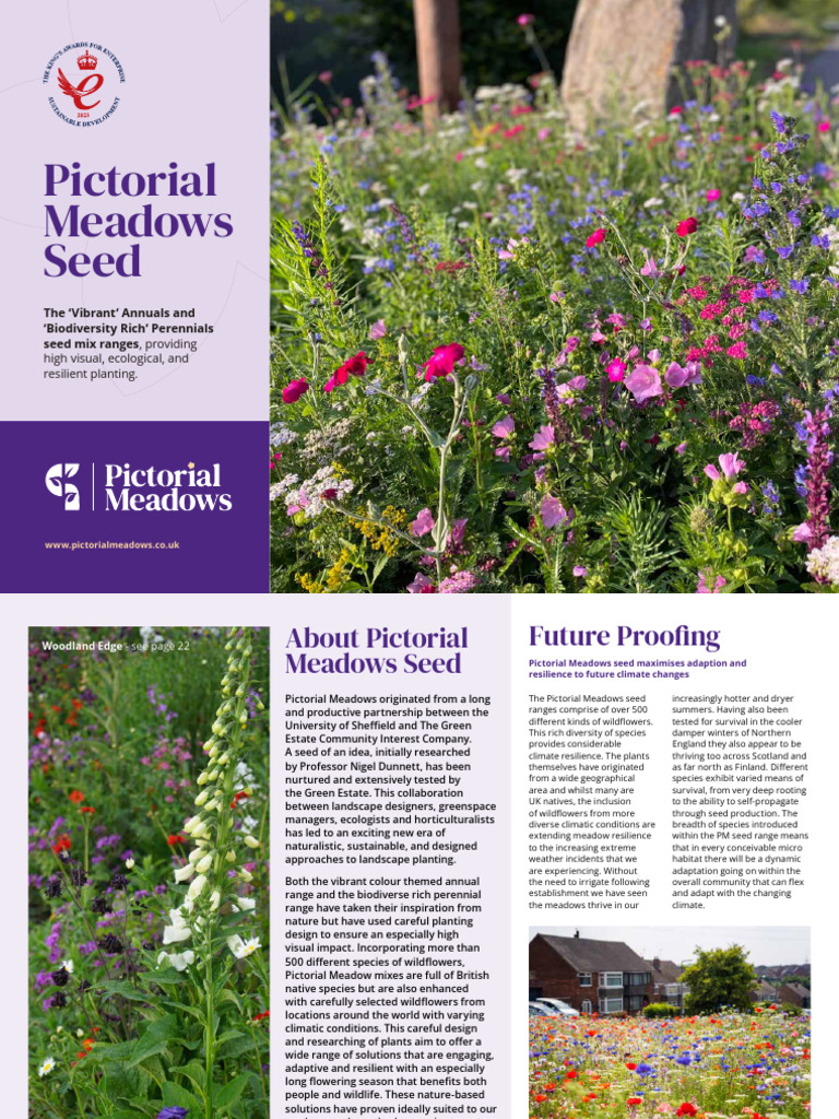 Pictorial Meadows Seed Brochure 2024 | PDF | Sowing | Meadow