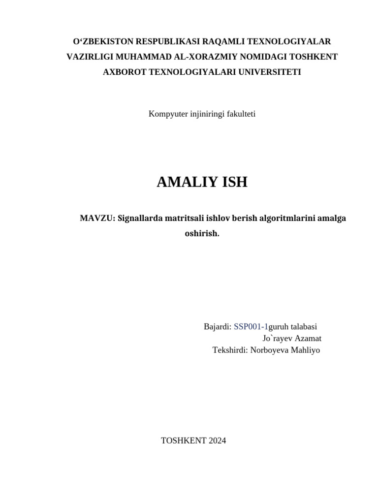 Amaliy Ish | PDF
