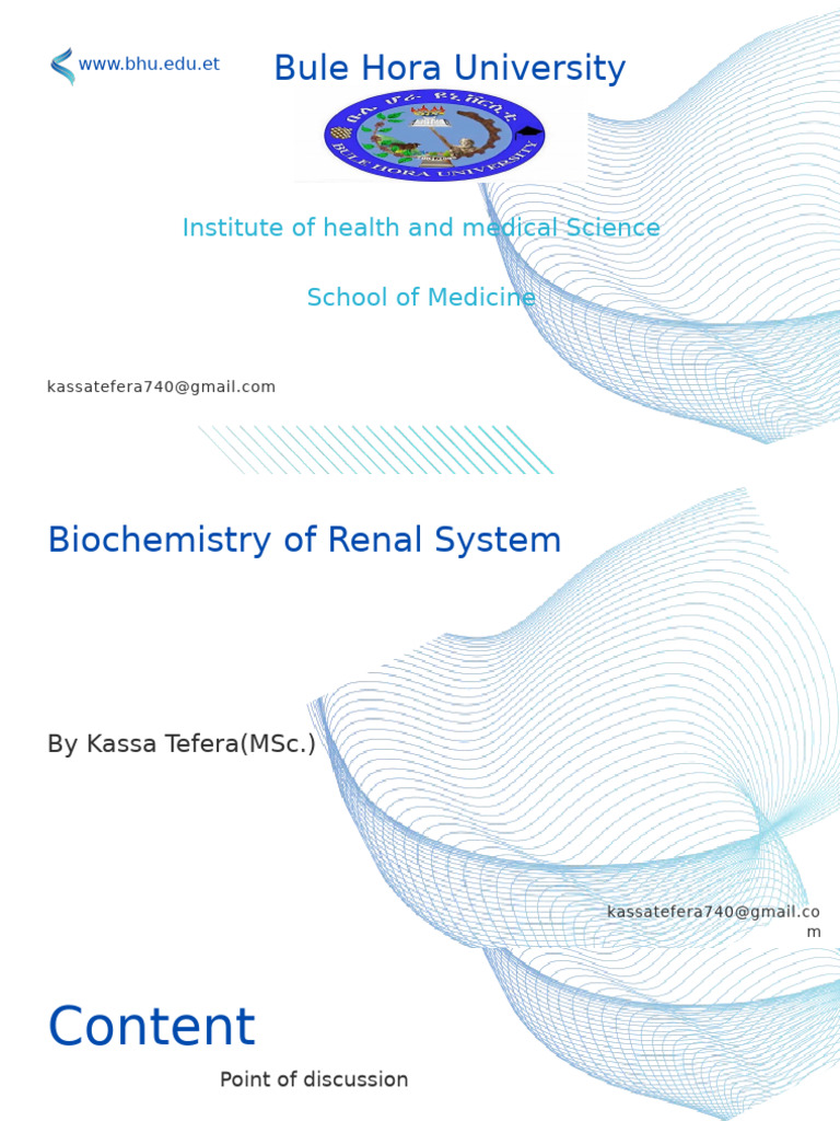 Renal Biochem for PH | PDF | Kidney | Creatinine
