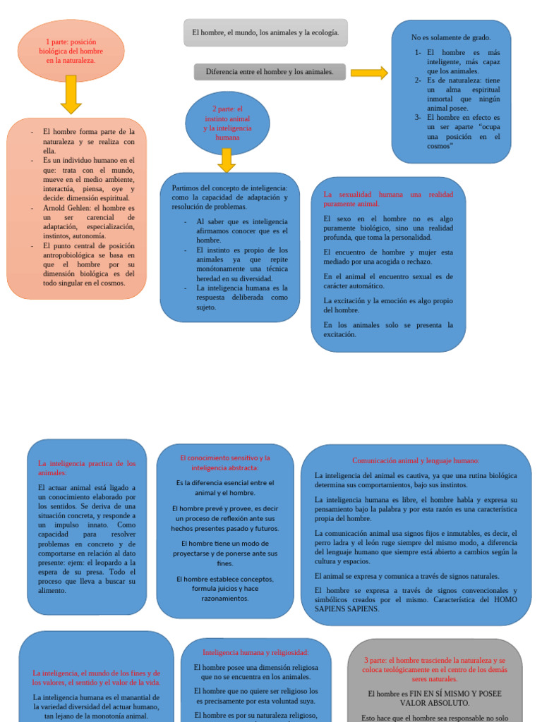 Esquema Estudio Antropologia. | PDF | Inteligencia | Naturaleza